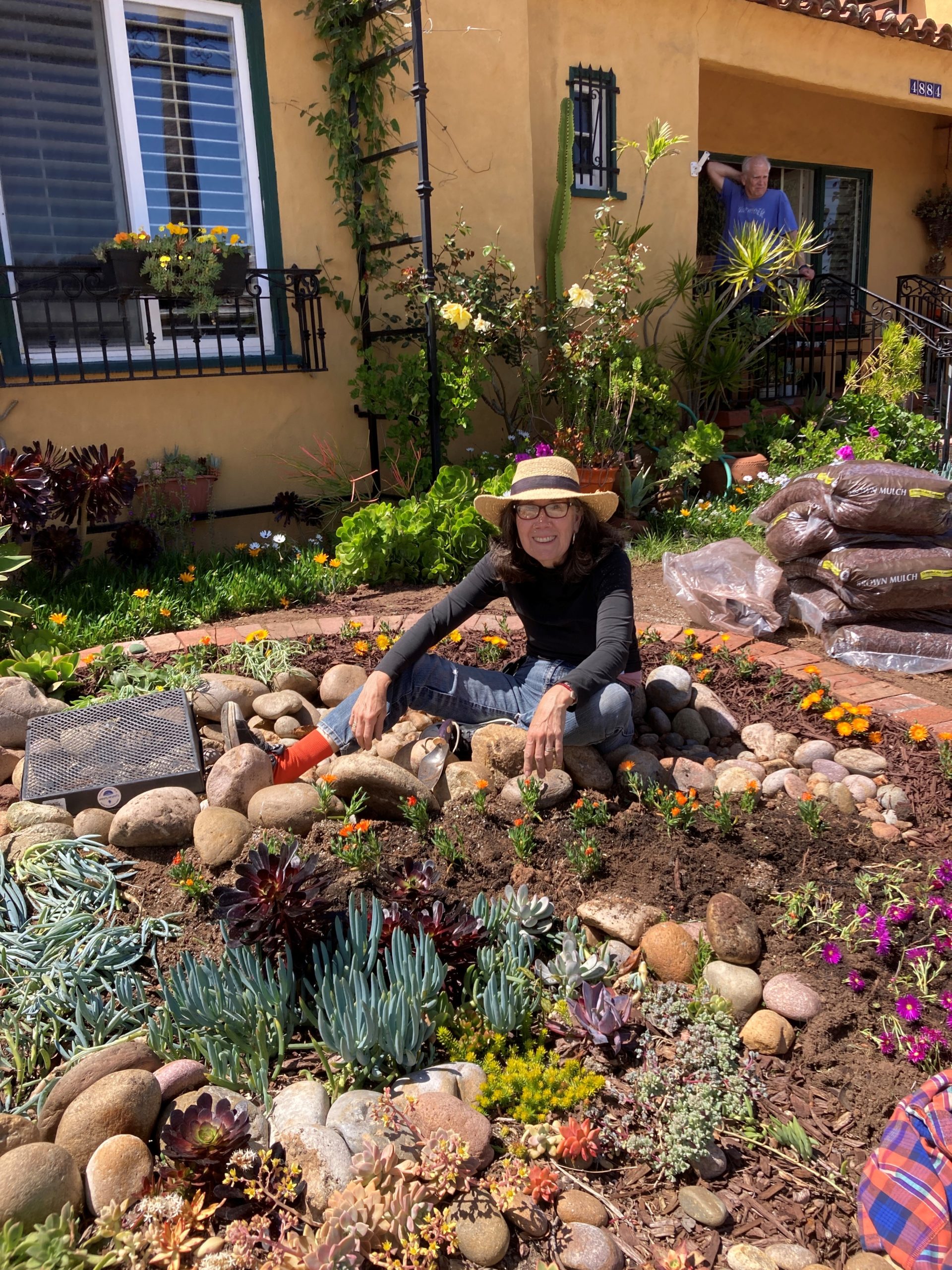 Eucalyptus: Garden Friend or Fire Foe? – Kensington Fire Safe